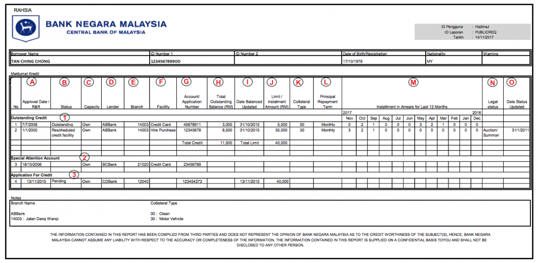 Reading Your CCRIS Report – MyPropertyPlaces.com